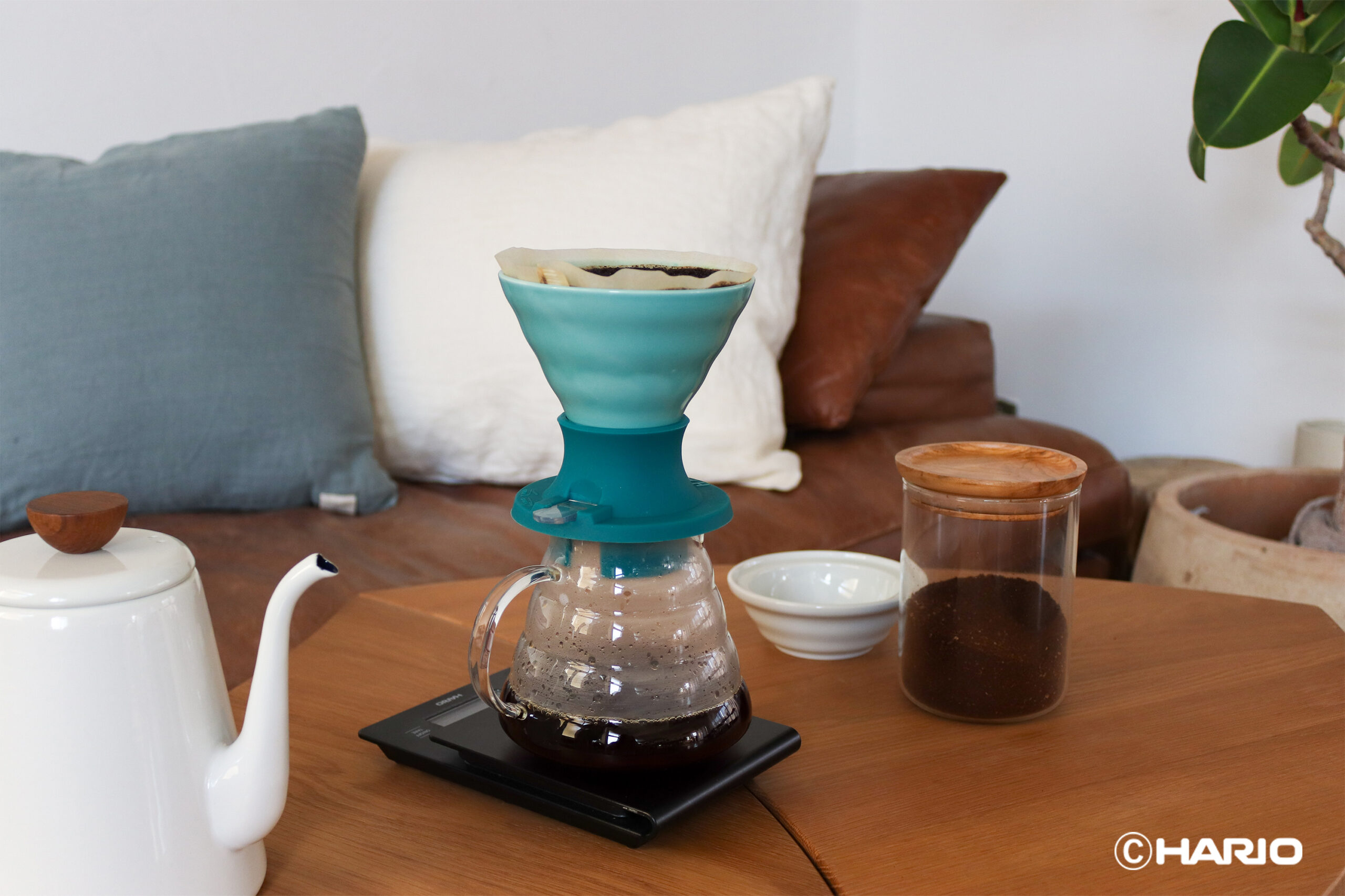 Hario V60 Immersion Ceramic Dripper SWITCH (Turkuaz) - Hario Türkiye